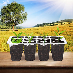 20 Packs Seed Starter Tray Seed Starter Kit with Humidity Dome, 240 Cells Total Tray Base Greenhouse Plant Starting Trays Kit with Plastic Seeding Tools and Labels for Seeds Growing Starting