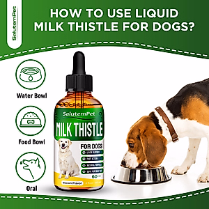 Milk Thistle for Dogs | Dog Liver Supplement | Milk Thistle Supplement for Dogs | Liver Support for Dogs | Liquid Milk Thistle for Dogs | Dog Supplements for Liver | Natural Product | 2 Pack х 2 Oz