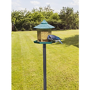 Upgraded Thicken Bird Feeder Pole for Outdoors - Easy to Assemble Heavy-Duty Bird House Stand for Blue Bird, 60in 5 Prongs Base Adjustable Stand Pole Mount Kit
