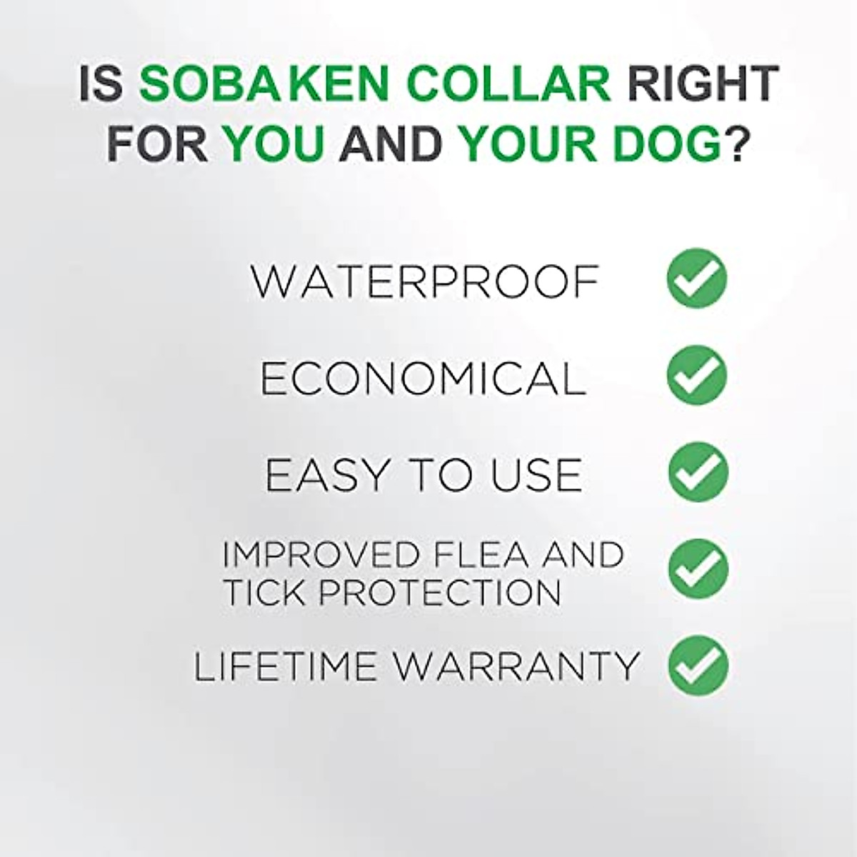 8-Month Protection Dog Flea Collars & Tick Collar - No Irritation, Baldness, or Side Effects - Suitable for Small, Medium, Large Dogs - 25 lnch - Natural flea and tick Collar for Dogs - 1 Pack