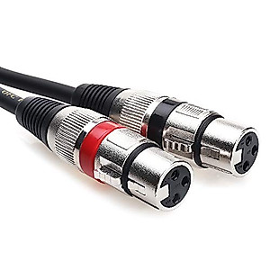 tisino Dual XLR to 3.5mm Stereo Mic Cable, 2 XLR Female to 1/8 Inch Mini Jack Y-Splitter Breakout Lead Microphone Cord - 3.3 feet