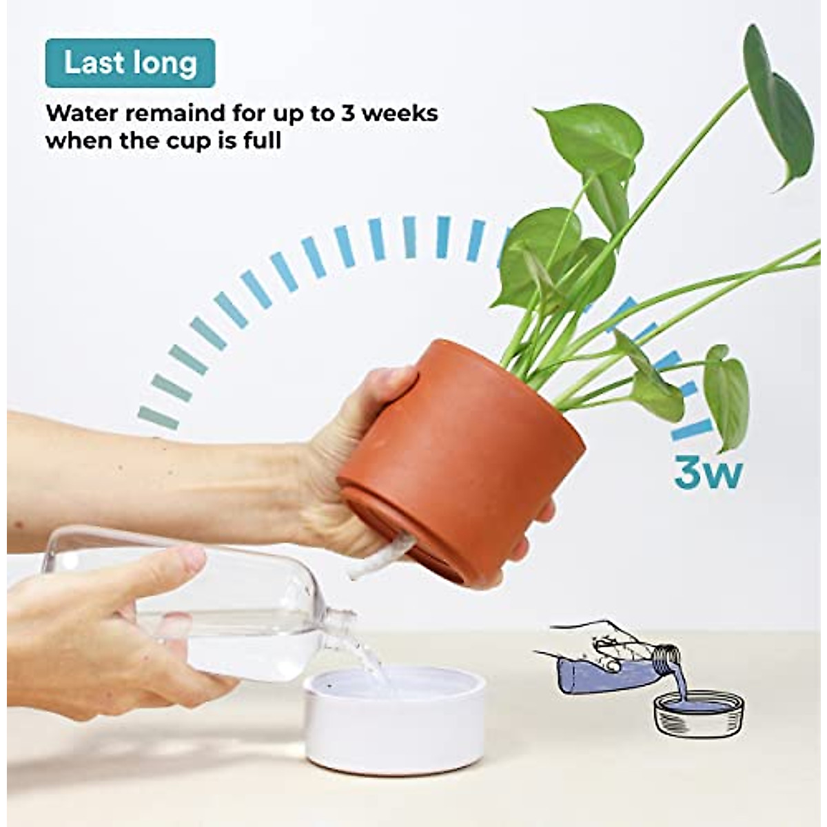 6 inch Self Watering Terracotta Pot with hydrophilic Wick and White Glazed Water Saucer for Indoor Plants, Clay Planter for Orchid, Herbs, and Flowers, Decorative Kitchen Windowsill, home decor