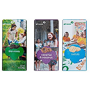 Barbie Loves Girl Scouts Doll