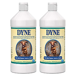 PetAg Dyne High Calorie Liquid Nutritional Supplement for Dogs and Puppies - with Multivitamins for Recovery and Nursing - Vanilla Flavor - 2 Pack of 16 fl oz Bottles