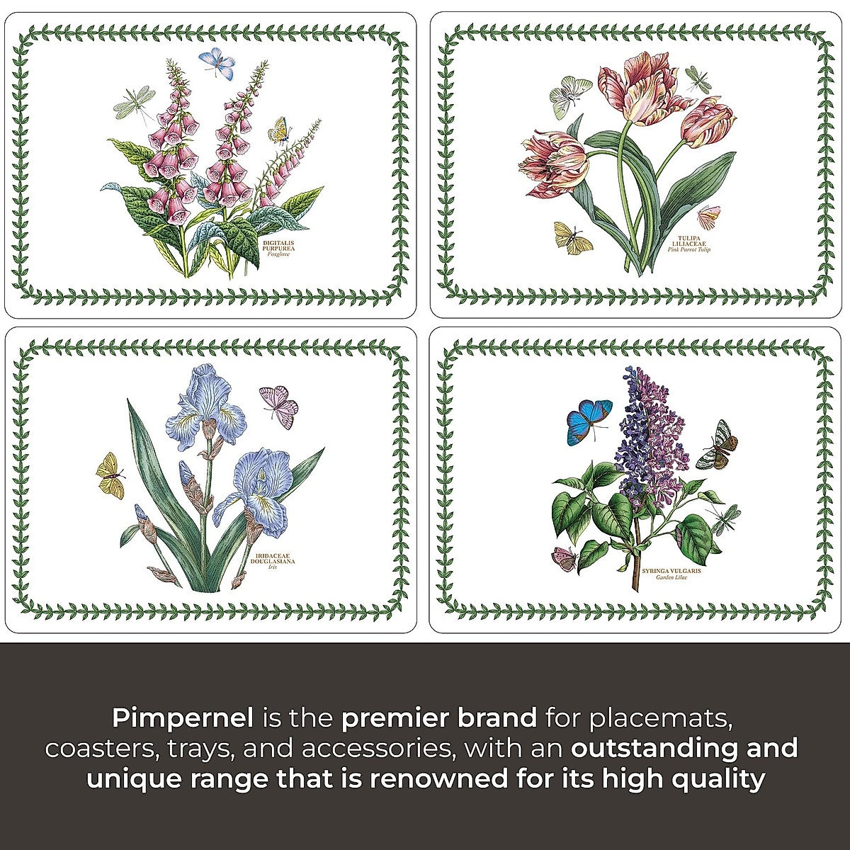 Pimpernel Botanic Garden Collection Placemats | Set of 4 | Heat Resistant Mats | Cork-Backed Board | Hard Placemat Set for Dining Table | Measures 15.7” x 11.7”