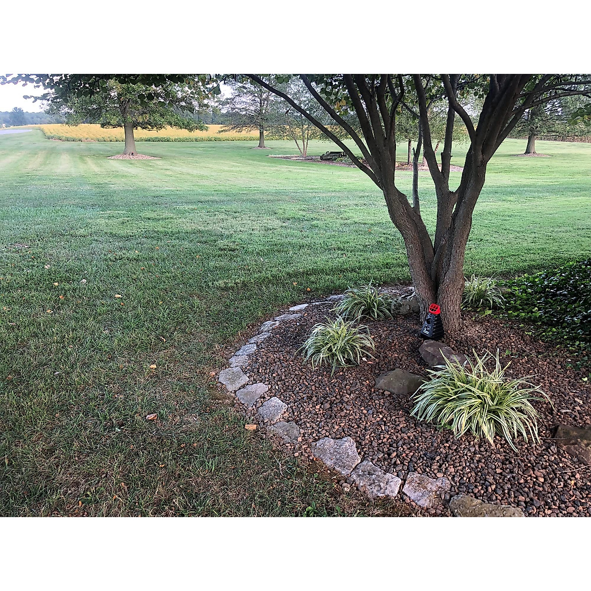 Grandpa Gus's Outdoor Mosquito Trap, Water-Activated Insecticide-Texturized Mosquito Larvae Killer, Protects up to 1500 sq ft (Pack of 2)