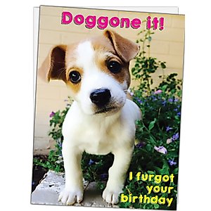 Glory To Dog Doggone It! I Furgot Your Birthday Belated Birthday Card (featuring an adorable Jack Russell Terrier puppy) with Greeting Card Mailing Envelope