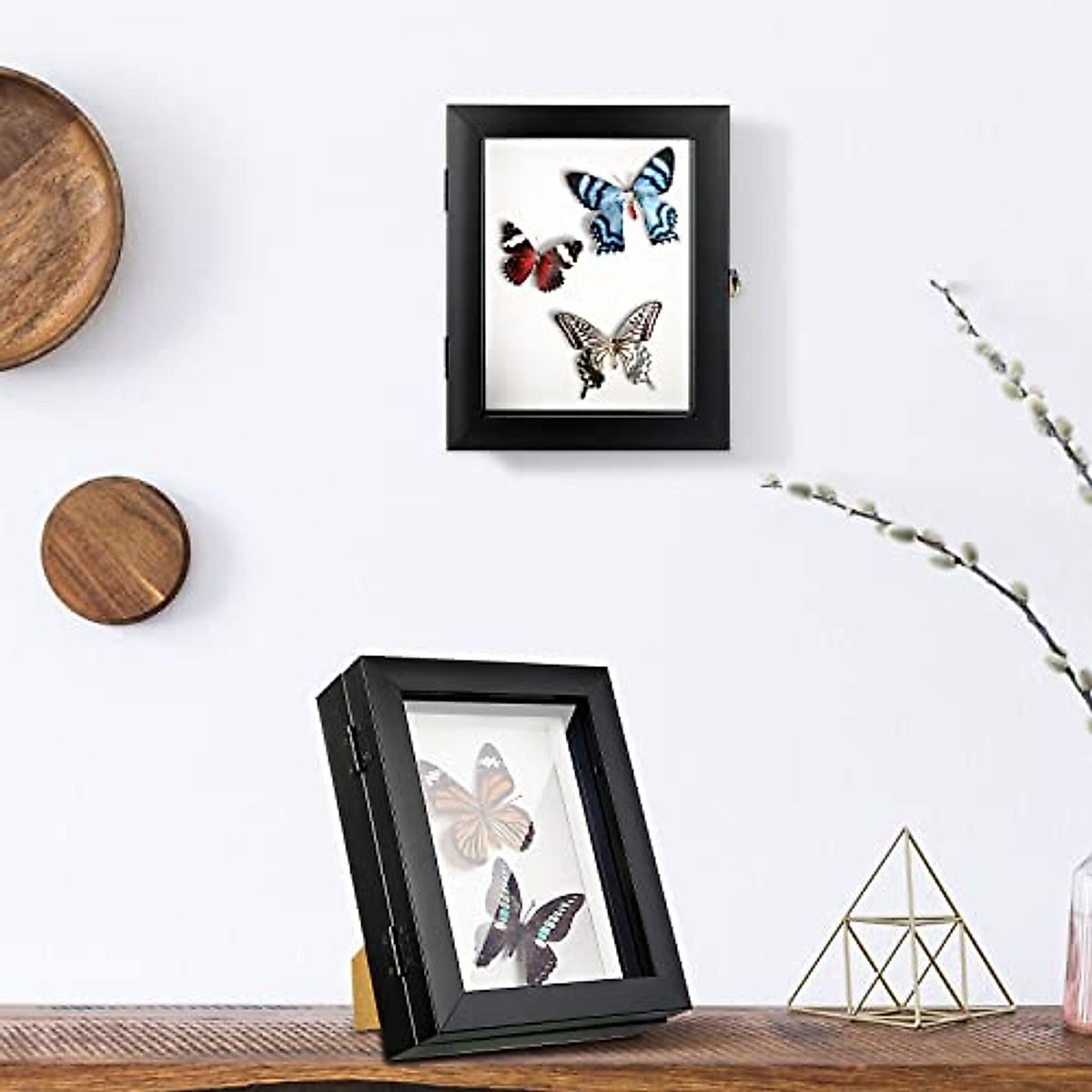 2 Pcs Insect Display Case Collection Shadow Boxes Butterfly Box with Clear Top EVA Foam Pinning Board and 300 Pcs 3 Sizes Insect Pins Insect Pinning Kit for Specimen, 7.87 x 6.3 x 2.05 Inch (Black)