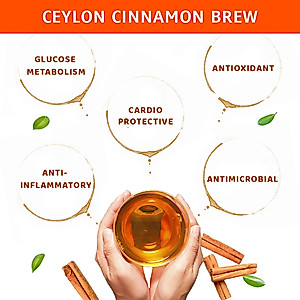 Pure Ceylon Cinnamon Brew – 100% Organic Pure CEYLON CINNAMON TEA Bags (40 Sachets – Pack of 2 – 20 COUNTS PER PACK | CAFFEINE-FREE)