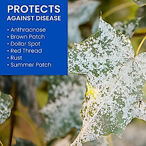 BioAdvanced Fungus Control for Lawns, Ready-to-Spray, 32 oz
