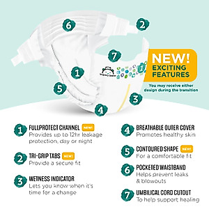 Amazon Brand - Mama Bear Gentle Touch Diapers, Hypoallergenic, Size 1, 196 Count (4 packs of 49)