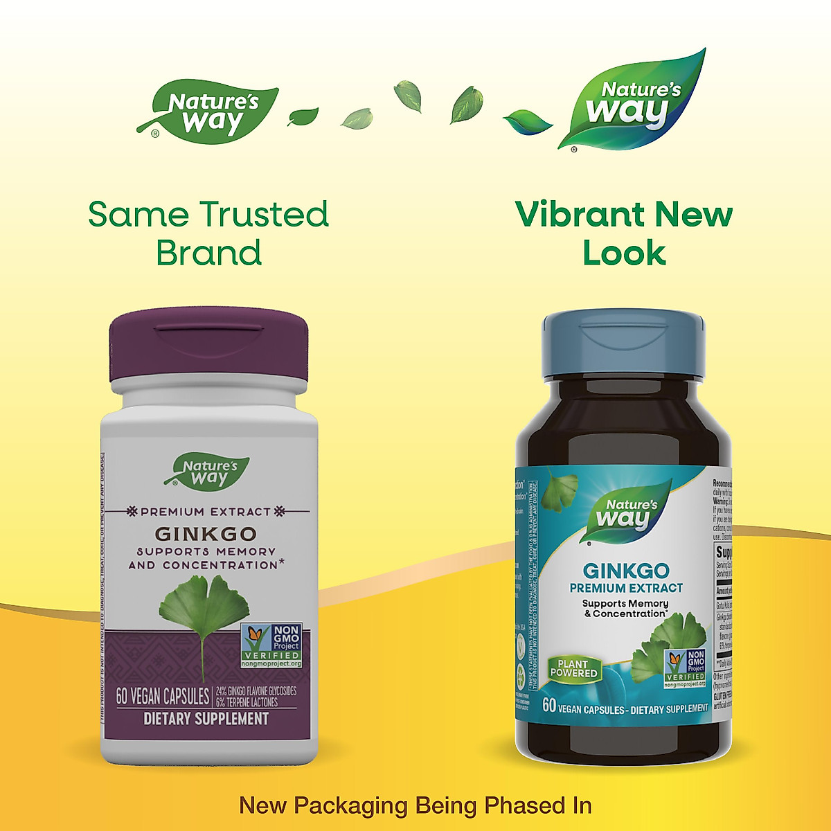 Nature's Way Ginkgo Premium Extract, Supports Memory & Concentration*, 120 mg Ginkgo Biloba Extract per 2-Capsule Serving, with Gotu Kola, Vegan, No Gluten, 60 Capsules (Packaging May Vary)