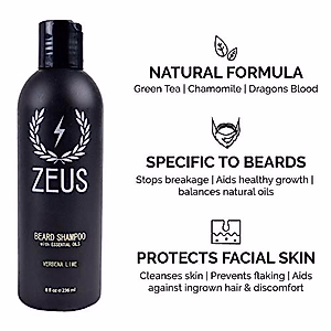 ZEUS Beard Care Set, Starter Beard Wash & Beard Oil Kit for Men, Soften, Hydrates, & Moisturizes – MADE IN USA (Verbena Lime)