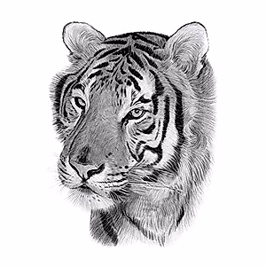 Lion Tiger Wolf Half Arm Sleeve Temporary Tattoo Sticker For Men L8.3"xW5.9"(20Sheets)