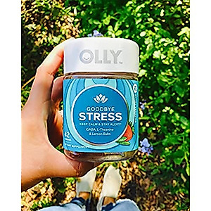 OLLY Goodbye Stress Gummy, GABA, L-Theanine, Lemon Balm, Stress Relief Supplement, Berry - 42 Count