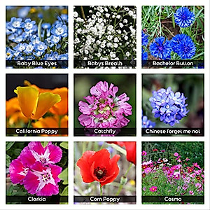 85,000 Wildflower Seeds, 35 Varietiey Wild Flowers Bulk Flower Seeds, Mix of Annual and Perennial Bulk Packet Seeds for Planting, Perennial Wild Flower Seeds, Semillas de Flores Hermosas