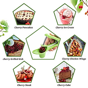 EWPJDK Cherry Pitter Tool Pit Remover Heavy-Duty Stainless Steel Olive Pitter Tool for Making Cherry Jam (Black)