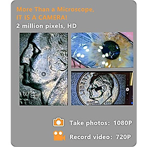Wireless Digital Microscope,USB Pocket Handheld Microscopes,50x-1000x Zoom Fixed Focus HD Magnifier with LEDs, Inspection Camera Compatible with iPhone, Android Phone, MacBook, Windows PC