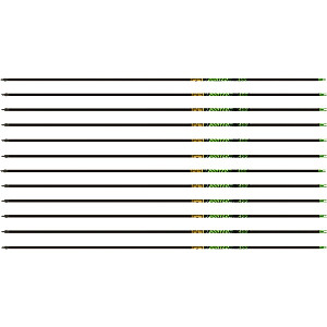 Gold Tip Hunter XT Arrow Shafts (Pack of 12), Black, 300