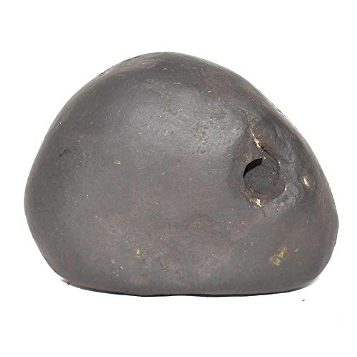 Rudrakshguru Rama Shaligram - Gandaki River Nepal