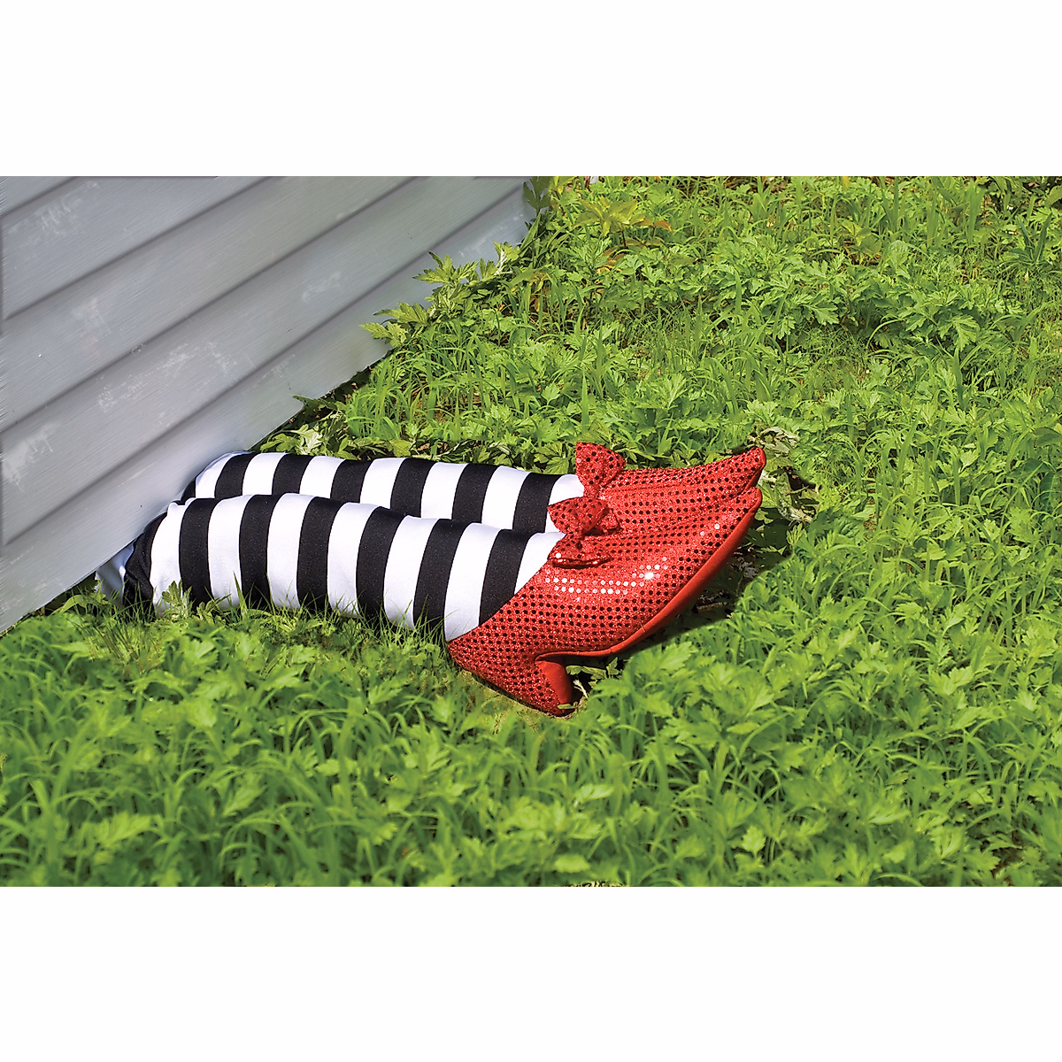 Wizard of Oz 18-Inch Wicked Witch Legs Prop