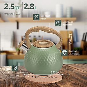 harriet Tea Kettle, Tea Pot for Stovetop, 2.5QT Whistling Kettle with 5-Layers bottom, Food Grade Stainless Steel Kettles with Hot-Resistant Handle Gas Electric Applicable, Green