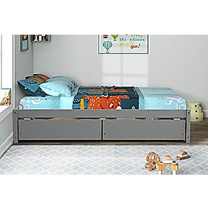 Twin Size Platform Bed with 2 Storage Drawers,Twin Bed Frame with Storage, Solid Wood Daybed with No Headboard for Kids Teen Grils Boys,Easy Assembly (Gray)