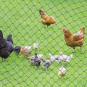 boknight Bird Netting for Garden, 25 X 50 feet Net Netting for Bird Poultry Aviary Heavy Duty Chicken Netting with Ropes& Cable Ties, 2.4 inch Square Mesh Size (25' x 50'-2.4'')