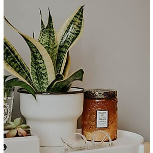 Voluspa Baltic Amber Candle | Large Glass Jar | 18 Oz | 100 Hour Burn Time | All Natural Wicks and Coconut Wax for Clean Burning | Vegan