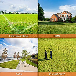 UIIAIOUIAIO Electric Lawn Mower, 14 Inch 12 Amp with Grass Bag and Height Adjustment for Green Lawns. Foldable Handle and Push Corded Design(Green)