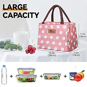 HOMESPON Lunch Bag Insulated Tote Bag Lunch Box Resuable Cooler Bag Lunch Container Waterproof Lunch Holder for Women/Men