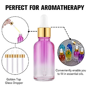 PrettyCare Eye Dropper Bottles 1oz (Rainbow Colored Glass Bottle 24 Pack 30ml with Golden Caps, 48 Labels, Funnel & Measured Pipettes) Empty Tincture Bottles for Essential Oils, Perfume