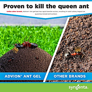 Syngenta Advion Ant Gel Station Insecticide, 3 Stations x 4-Grams, Ready-to-Use Ant Gel Bait with The Active Ingredient Indoxacarb, Ant Bait for Use Indoor and Outdoor, Long-Lasting Ant Killer