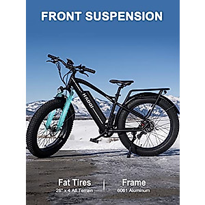 HAOQI Electric Bike for Adults 48V 20AH Removable Cells Battery Black Leopard Pro, 750W Brushless Motor, 26" x 4.0 Fat Tire 28MPH, 7-Speed