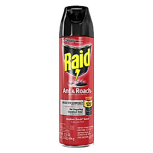 Raid Ant and Roach Killer 17.5 Ounce (Pack of 4)