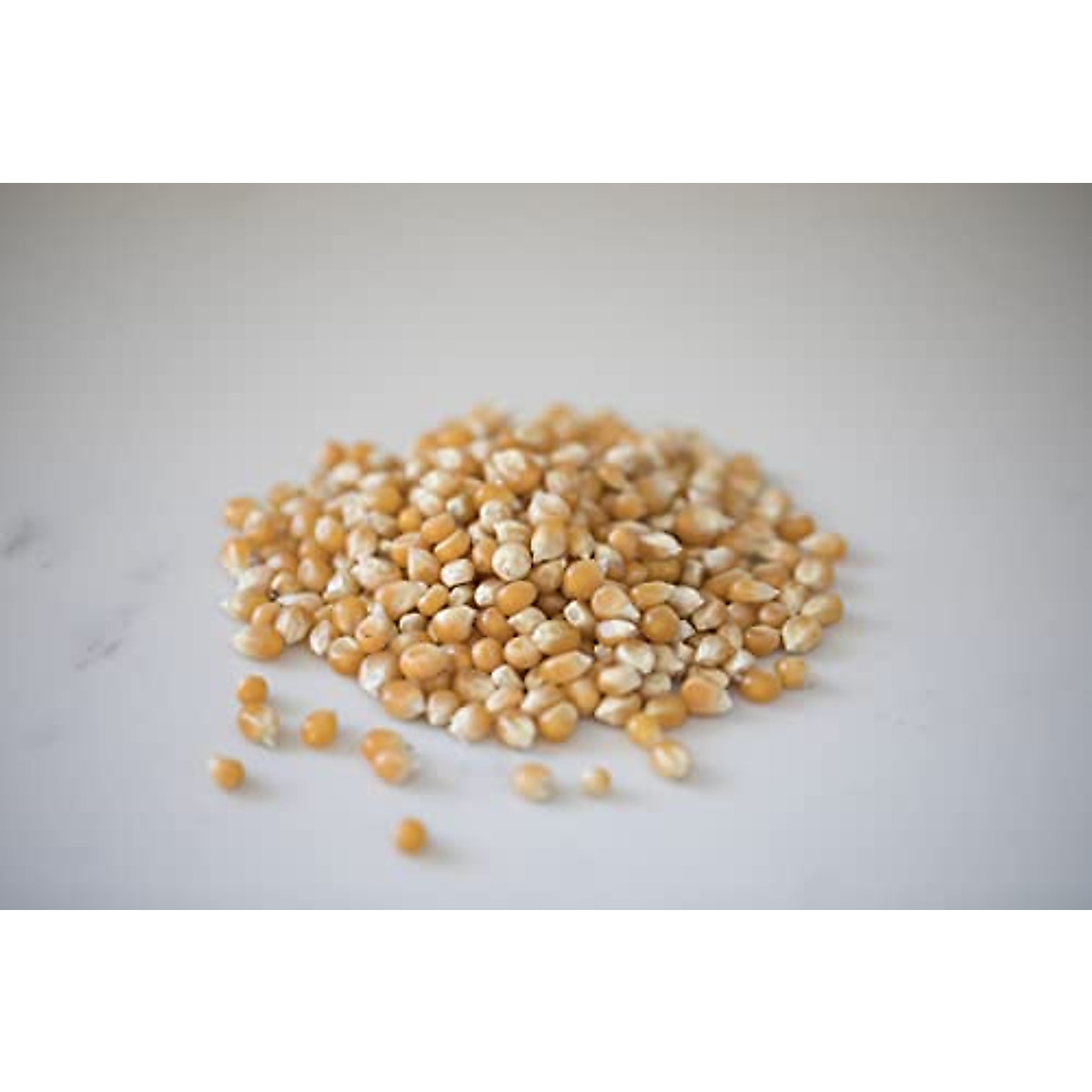 Amish Country Popcorn | 6 lb Bag | Mushroom Popcorn Kernels | Old Fashioned, Non-GMO and Gluten Free (Mushroom - 6 lb Bag)