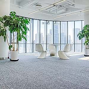 Lechay Black Plant Saucer for Indoors,3 Pack 12inch Plastic Flower Plant Pot Saucer, Plastic Plant Saucer Drip Trays for Indoor and Outdoor Plants(3)