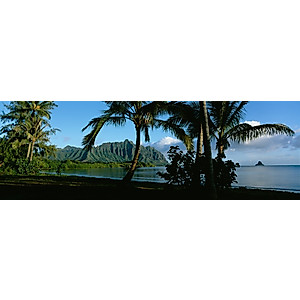 Posterazzi Palm trees on the waterfront Kaneohe Bay Oahu Hawaii USA Poster Print, (27 x 9)