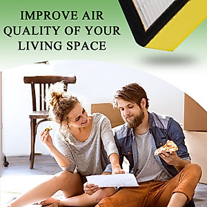 Funmit FLT4825 Filter B Replacement for Guardian AC4825 AC4825E AC4300 AC4800 AC4900 AC4850-3 True Filter + 12 Activated Carbon Pre Filter