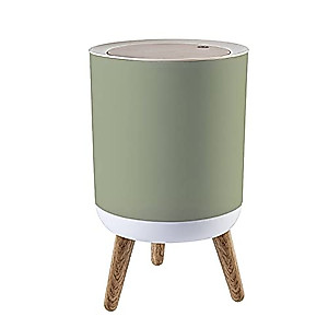 Small Trash Can with Lid for Bathroom Kitchen Office Diaper Plain beautiful sage green solid color a shade grey green color Bedroom Garbage Trash Bin Dog Proof Waste Basket Cute Decorative