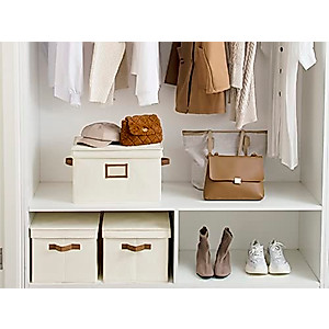 StorageWorks Underbed Storage Box and 32L Decorative Storage Bins