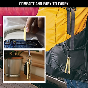 Modixun 10pcs Portable Titanium Toothpicks, Pocket Travel Toothpicks, Reusable Toothpicks,  Metal Toothpick Holder with Key Ring, Fruit Sticks for Outdoor Picnic