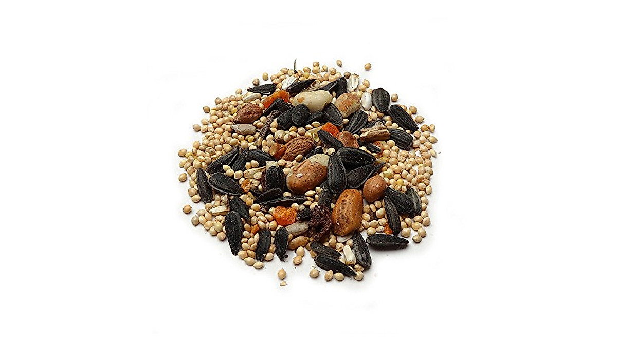 Audubon Park Nut and Fruit Blend Bird Food, 5lb