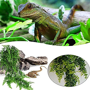 Freiomyi Bearded Dragon Hideout Reptiles Wooden Bridge Bendable Climber Ladder Hide Caves with Hanging Plants Habitat Decor Accessories for Gecko Chameleon Frog Turtle Snake 15.7″×5.9″