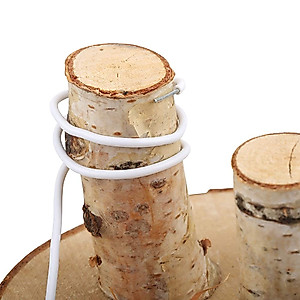 KINGLAKE GARDEN Flexible Soft Wire Ties,2.0 MM 65.6 Feet Twist Garden Ties,Heavy Duty Reusable Plant Twist Ties for Support Plants,Office Organization and Home (White)