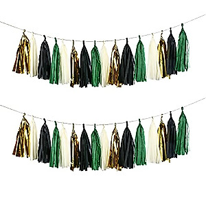Mefuny Bining Tissue Paper Tassel DIY Hanging Paper Decorations Party Garland Decor for Party Decorations Wedding,Festival,Baby Shower Decoration 20PCS