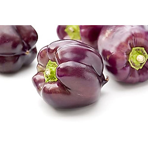 Sweet Lilac Purple Bell Pepper Seeds for Planting, 50+ Heirloom Seeds Per Packet, (Isla's Garden Seeds), Non GMO Seeds, Scientific Name: Capsicum annuum, Great Home Garden Gift