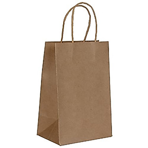 JOYIN 100 PCS Kraft Paper Bags Christmas Gift Bags with Handles, Recyclable Paper Sack, Paper Shopping Bags, Retail Merchandise Bags