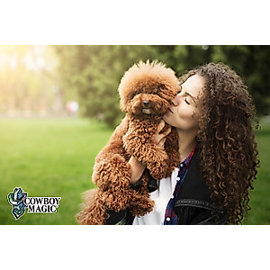 Cowboy Magic Shampoo + Conditioner 32 Ounce Bottles Detangler and Shine 4oz