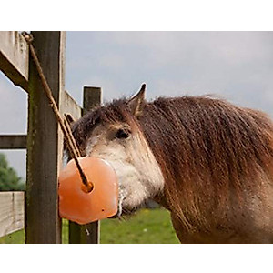 Indusclassic Himalayan Animal Licking Pink Salt Lick Horse Cattles Pure with Minerals (4 LB)